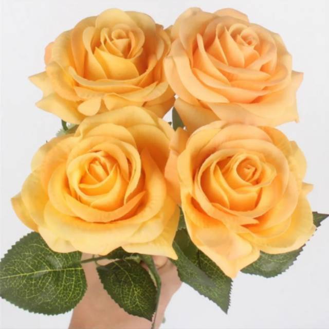 Terkeren 17+ Gambar Bunga Rose Kuning - Gambar Bunga Indah