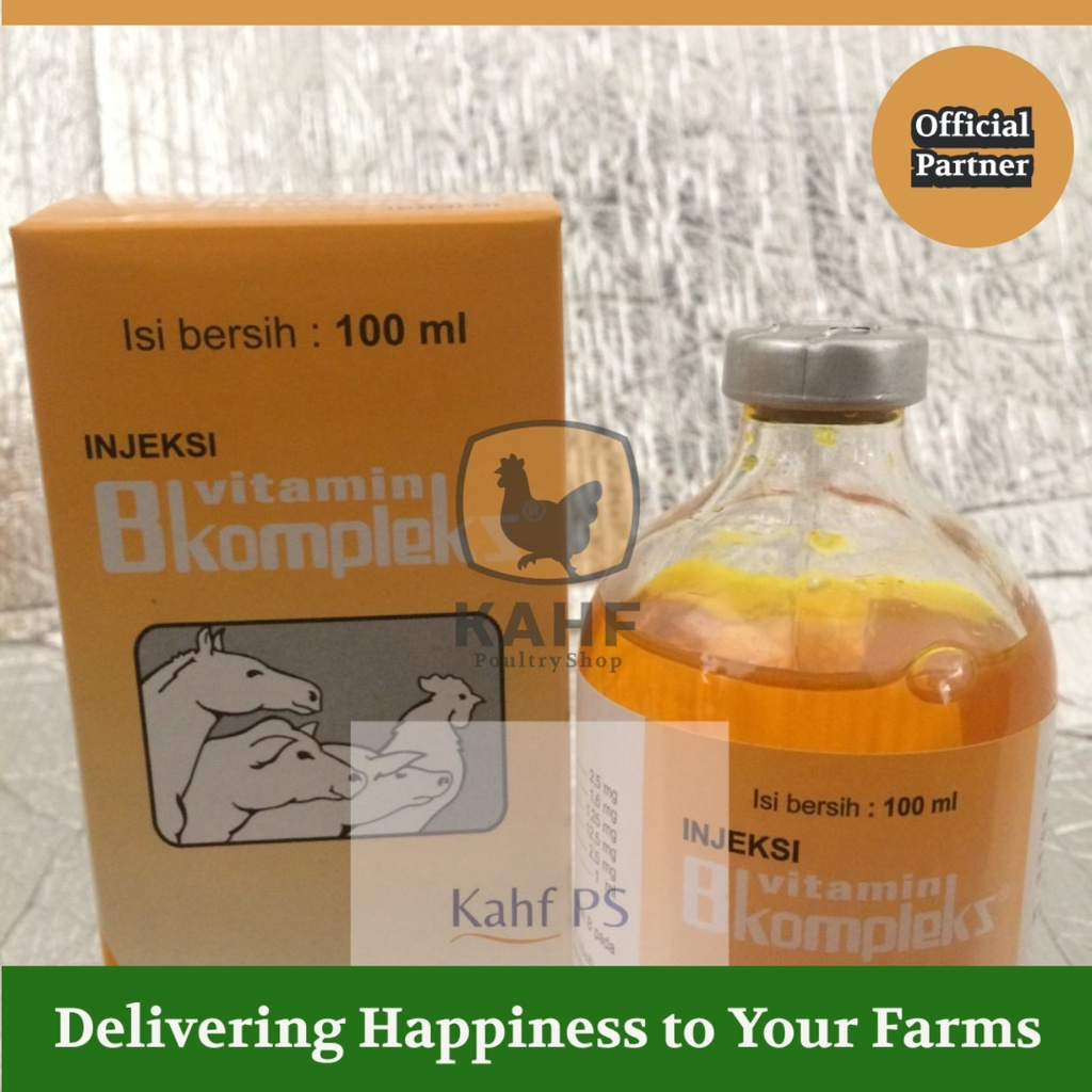 Jual Vitamin B Kompleks Injeksi 100 ml Medion untuk Sapi Unggas Kuda ...