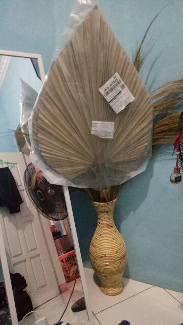 Dekorasi Daun Rustik Kering Palem Sikas Pampas Gandum Wedding ...