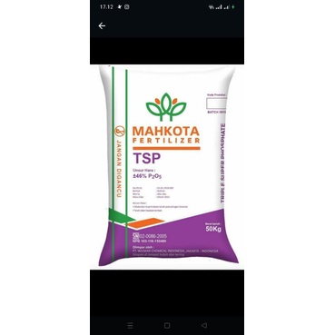 Harga tsp mahkota Terbaru Okt 2025 | BigGo Indonesia