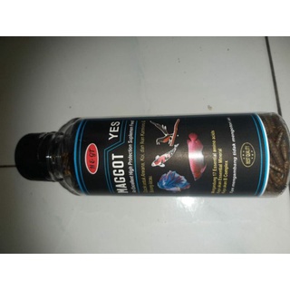 Jual Magot kering maggot yes kemasan dalam botol 250ml | Shopee Indonesia