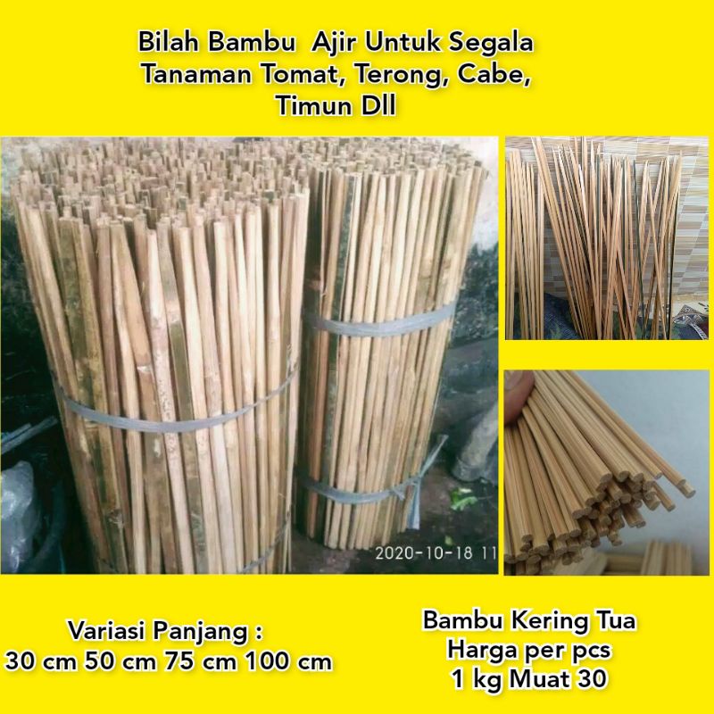 Jual BILAH BAMBU AJIR RAPI UNTUK SEGALA TANAMAN PJ 30 -100 CM | Shopee ...