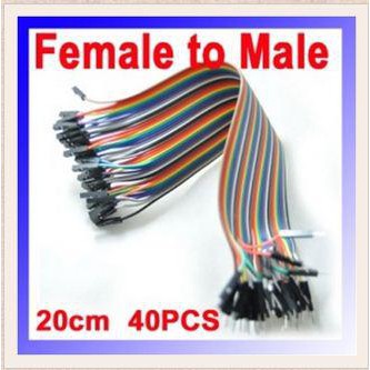 Jual KABEL JUMPER Female to Male 20cm 40PIN 40P | Shopee Indonesia