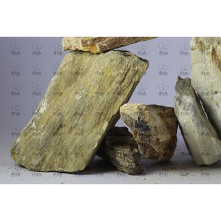 Jual BATU FOSIL / BATU FOSSIL / BATU AQUASCAPE | Shopee Indonesia