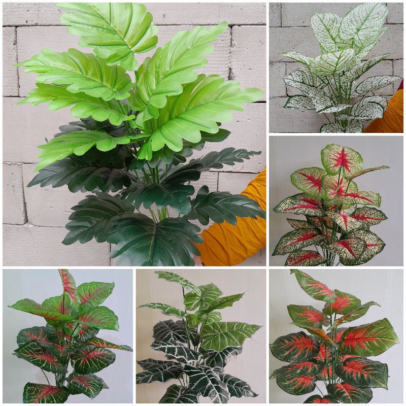 Jual Pohon SAJA artificial monstera / sirih gading / keladi / palem ...