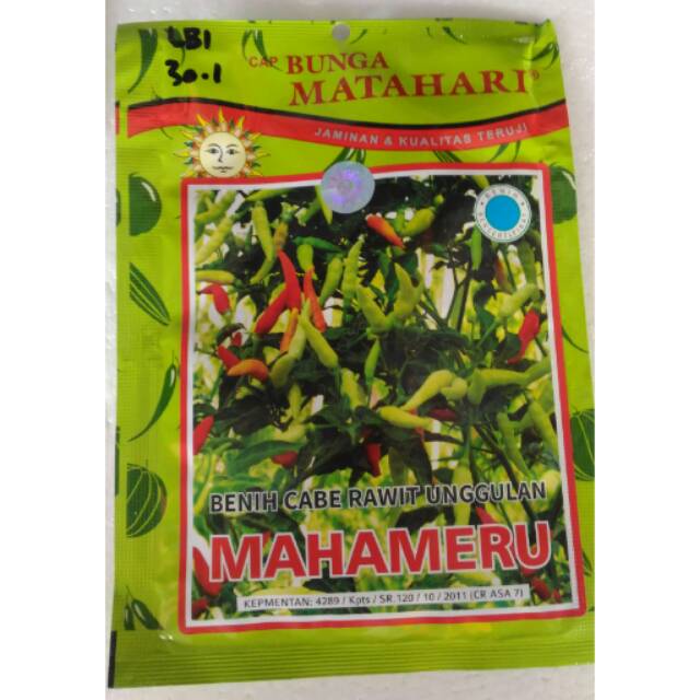 11+ Bunga Matahari Seed - Gambar Bunga Indah