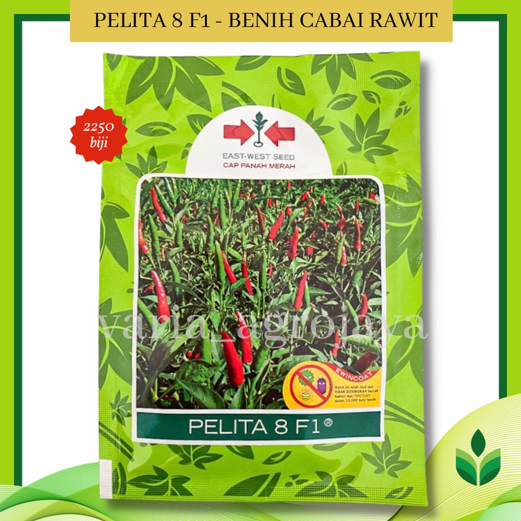 Jual Benih Bibit Cabai Rawit Pelita 8 F1 Isi 2250 Biji - Cap Panah ...
