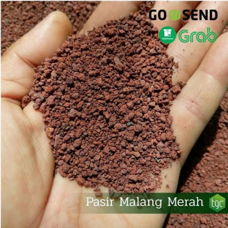 Jual pasir malang merah 1kg khusus media tanam aquascape dan media ikan ...