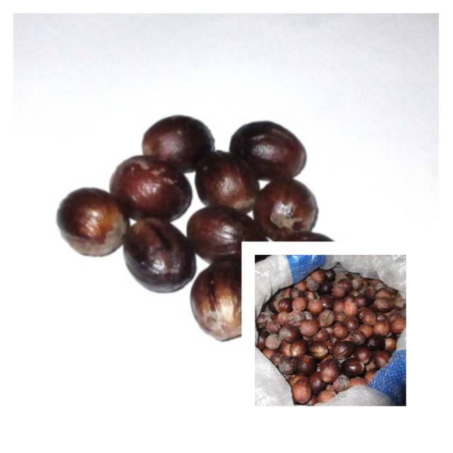 Jual Biji pala kering 500 gr | Shopee Indonesia