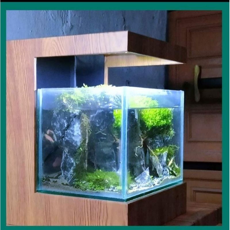 Harga Akurium Terbaru Februari 2023 |BigGo Indonesia