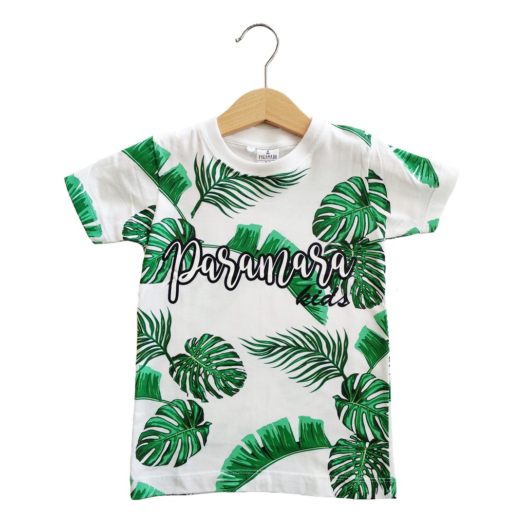 Harga Paramara Terbaru Jun 2025 | BigGo Indonesia