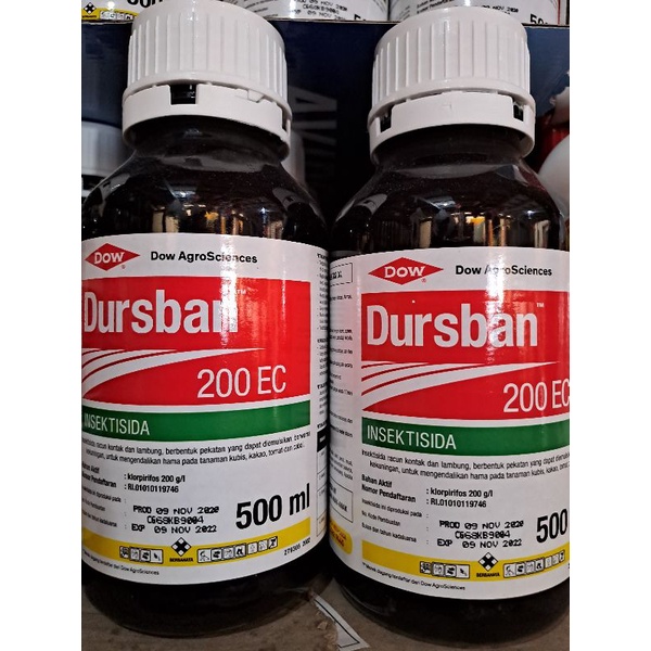 Jual Insektisida dursban 200 ec 500 ml | Shopee Indonesia