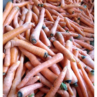 Jual Wortel Lokal Super Fresh (kemasan 1 Kg) | Shopee Indonesia