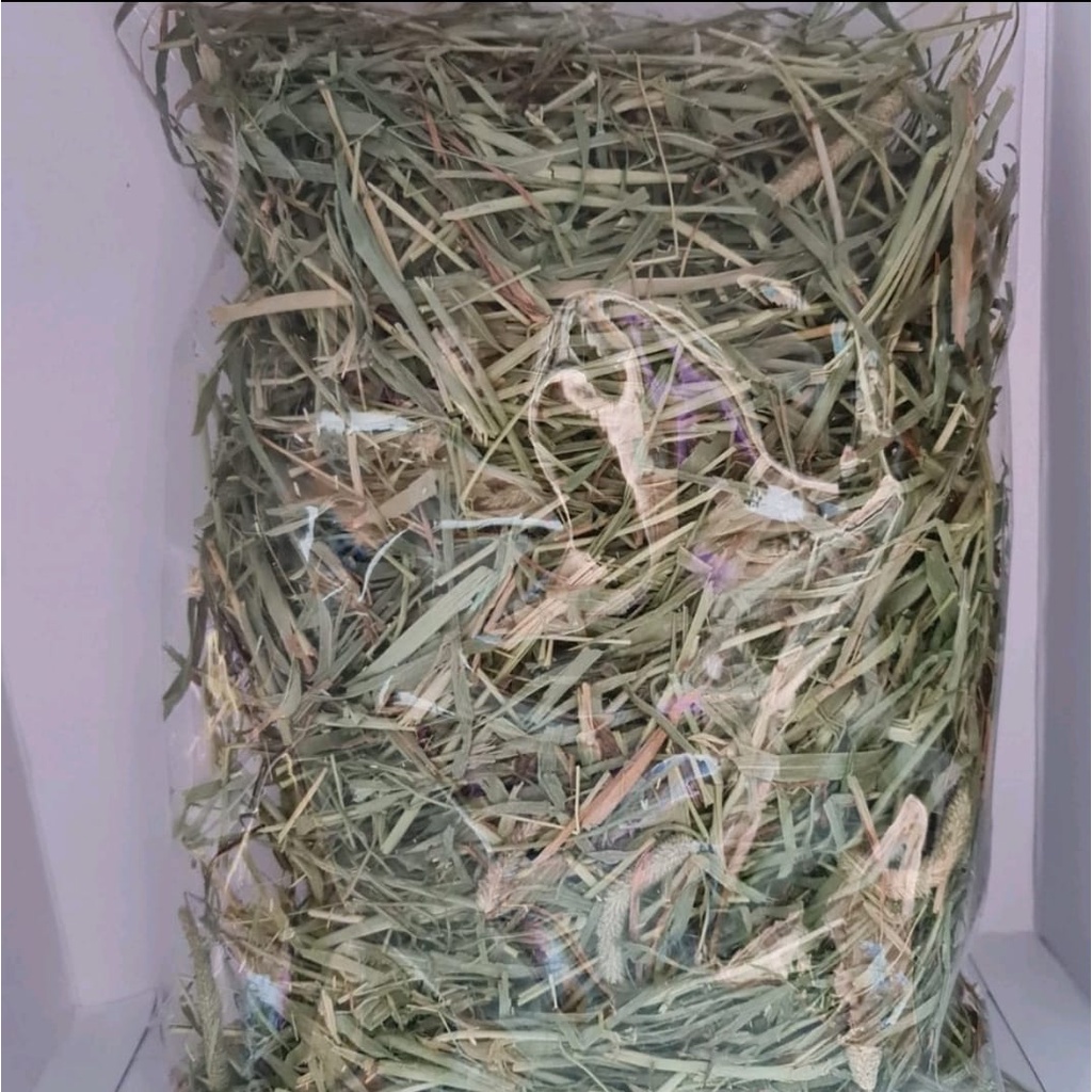 Jual Rumput ALFALFA KING TIMOTHY HAY 125 GRAM PAKAN KELINCI | Shopee ...
