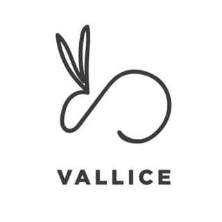 Toko Online vallice.official | Shopee Indonesia