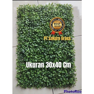 Jual TANAMAN RAMBAT DAUN DINDING SINTETIS - DOLAR DOLARAN SINTETIS ...