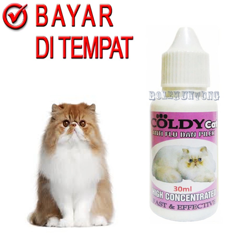Jual COLDY CAT OBAT FLU KUCING PILEK SAKIT PERNAPASAN GEJALA DEMAM ...
