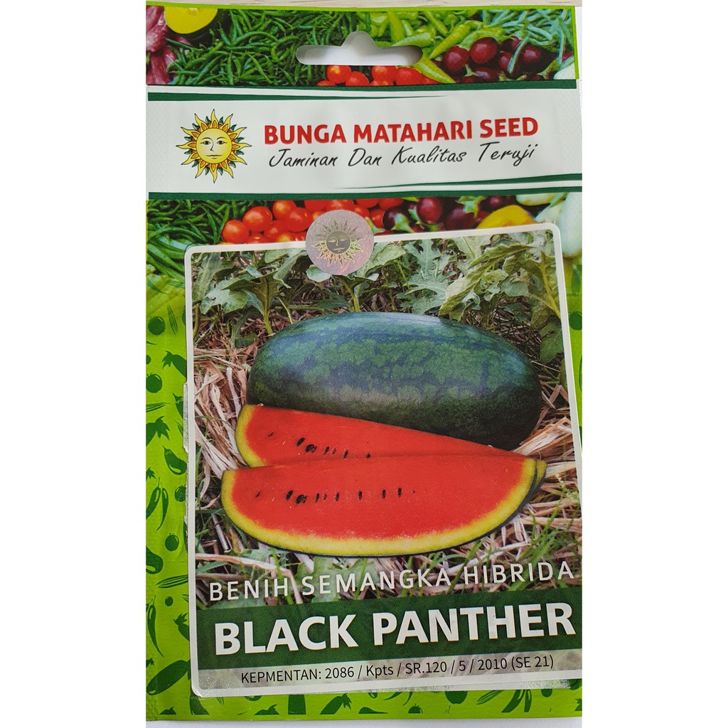 Jual Benih Semangka hibrida Black Panther F1 (Cap Bunga Matahari) 25 ...