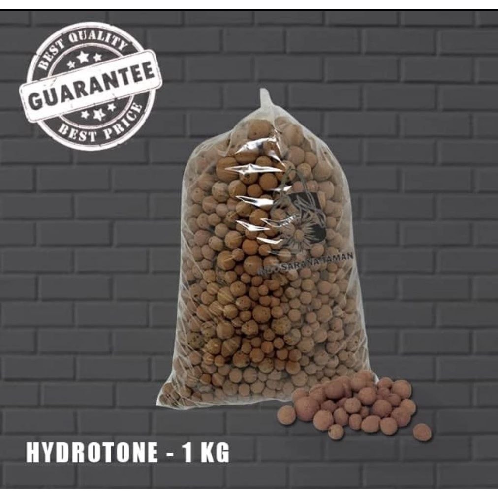 Jual MEDIA TANAM HIDROTON 1kg Hydroton Media Tanam Hidroponik ...