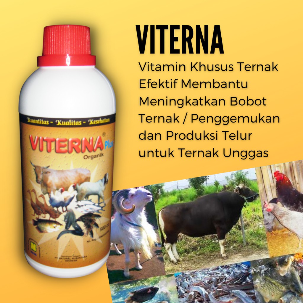 Jual VITERNA NASA 500 cc / Vitamin Ternak Kambing Sapi Ayam Babi Bebek ...
