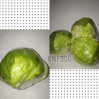 Jual Sayuran Kebab Letus/letuce 1 Kg | Shopee Indonesia