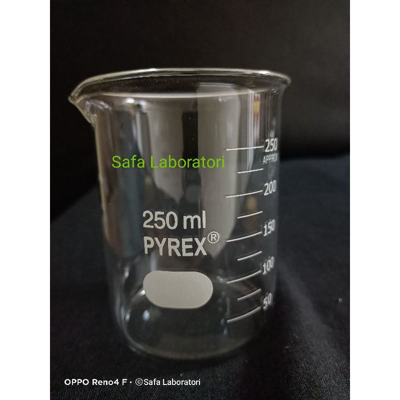 Jual Beaker Glass / Gelas Kimia 250 ml Pyrex Indonesia|Shopee Indonesia