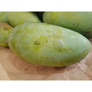 Jual Buah Mangga Kiojay ( 1kg 1 pcs ) | Shopee Indonesia