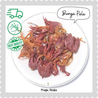 Jual Bunga Pala Kering 20 gram /Kembang Pala/Fuli/Mace (Myristica ...