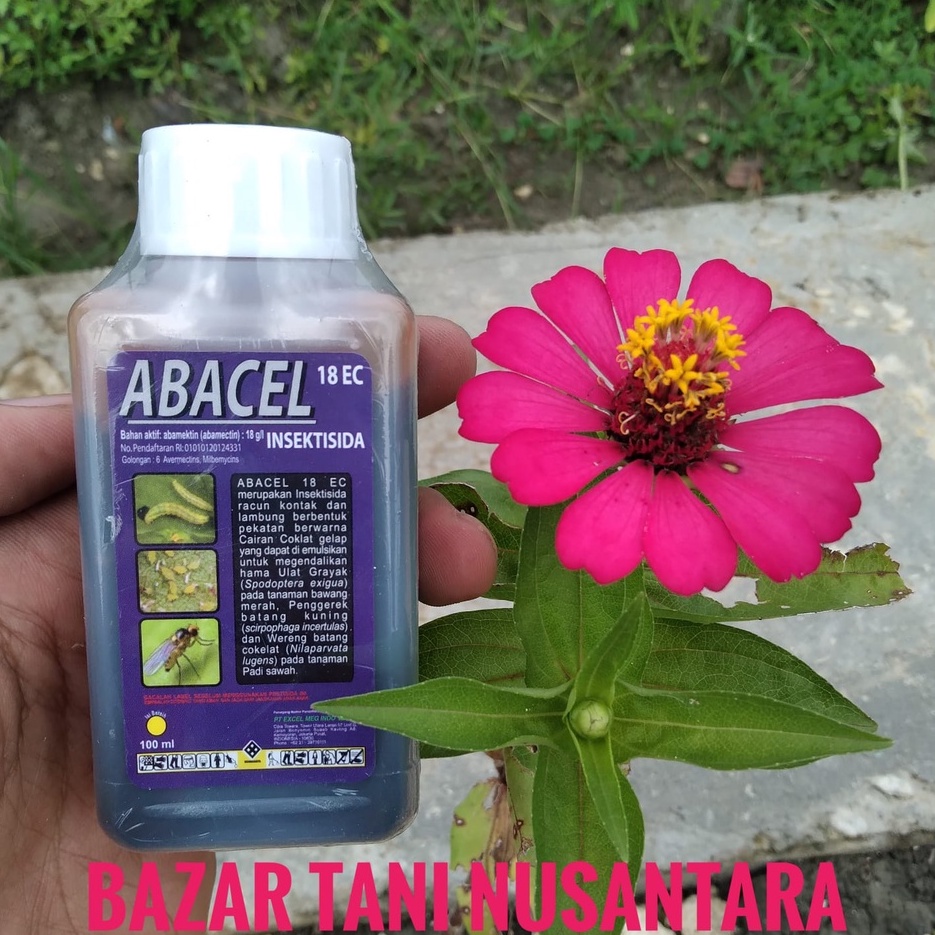 Jual btn Abacel 18 EC 100ml Insektisida Hama Thrips Ulat Kutu-kutuan ...