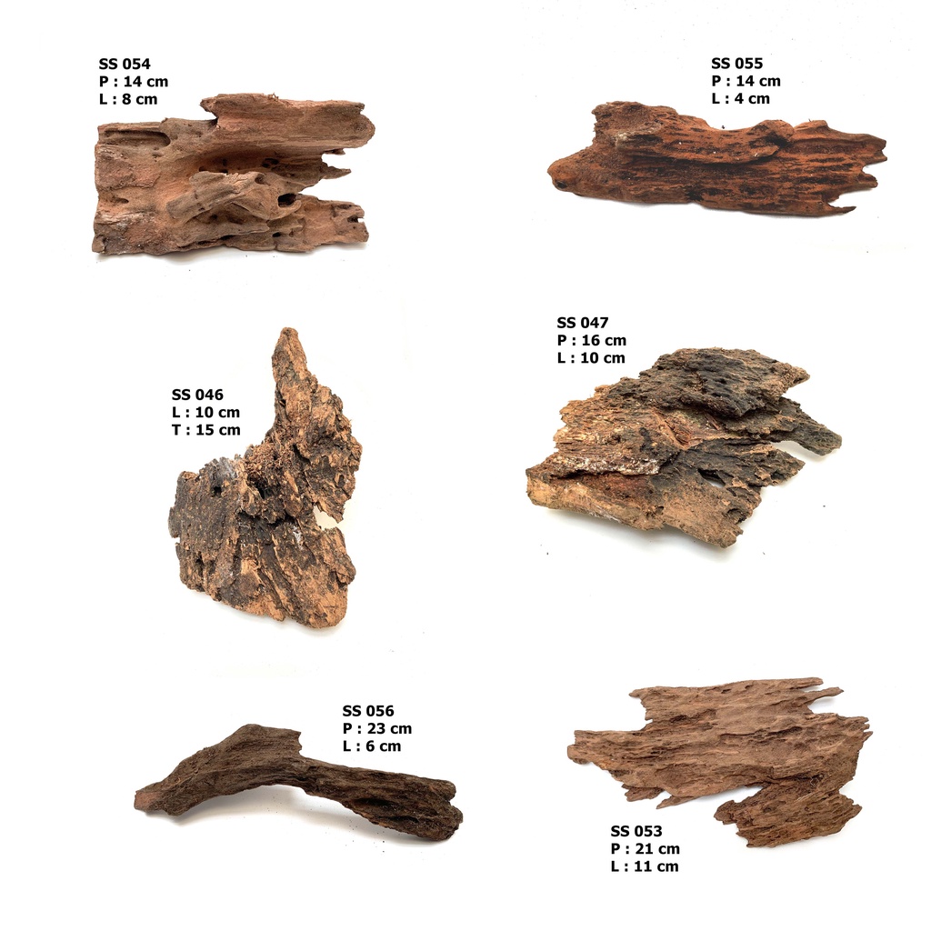 Jual Kayu Rentek Driftwood Aquascape Paludarium Castawood Size SS ... Jual Kayu Rentek Driftwood Aquascape Paludarium Castawood Size SS ...