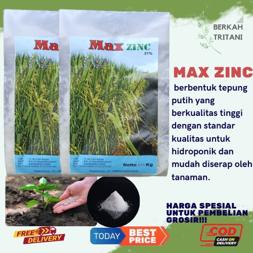 Jual max zinc 800gr Pupuk Micro Zn | Shopee Indonesia