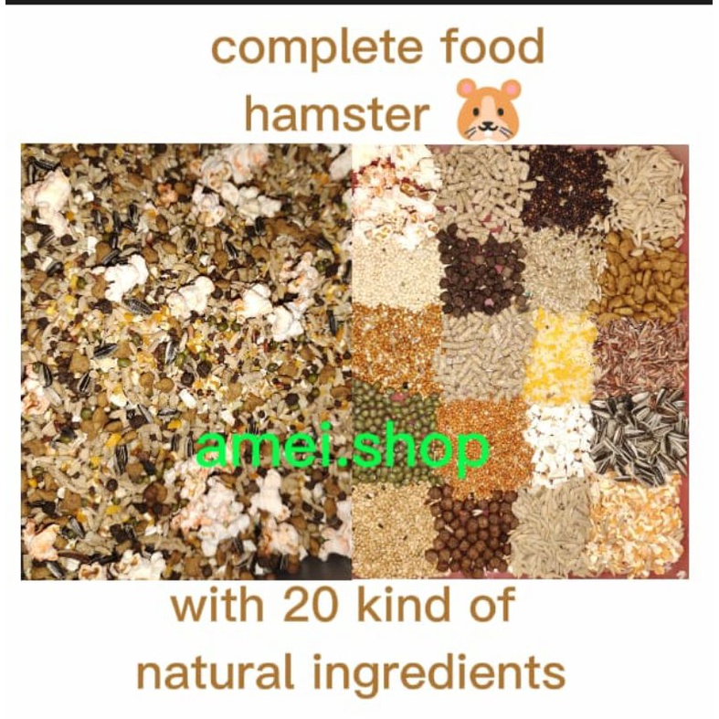 Jual Makanan Hamster dengan 20 jenis makanan kesuka terbaik hamster ...