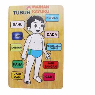 Jual Puzzle Anggota Tubuh- | Shopee Indonesia