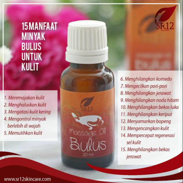 Jual MiBul (Minyak Bulus) Minyak banyak Manfaat!! | Shopee Indonesia