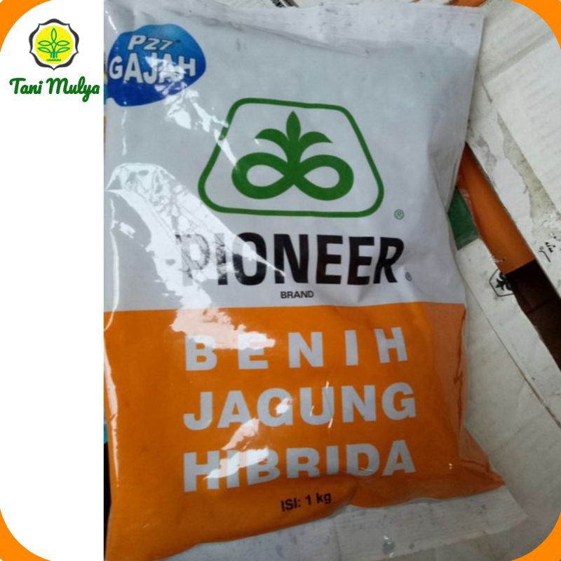 Jual benih jagung hibrida P27 Gajah isi 1kg lumigen | Shopee Indonesia