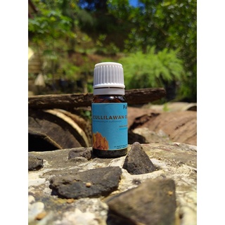 Jual 10 ml sampel - minyak kulit lawang - cullilawan oil (Cinnamomum ...