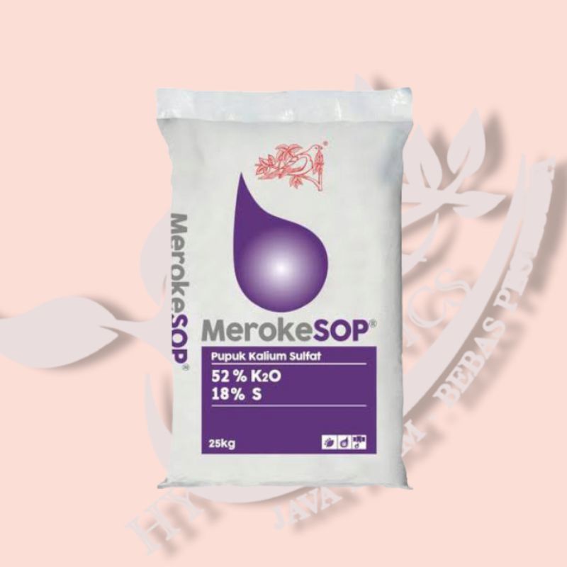 Jual Meroke SOP 1KG | Shopee Indonesia