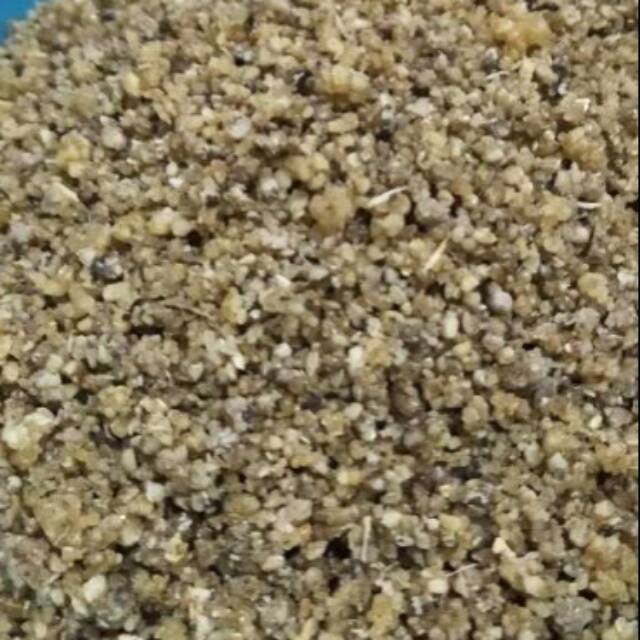Jual beras singkong,nasi tiwol kering,(tiwol) | Shopee Indonesia