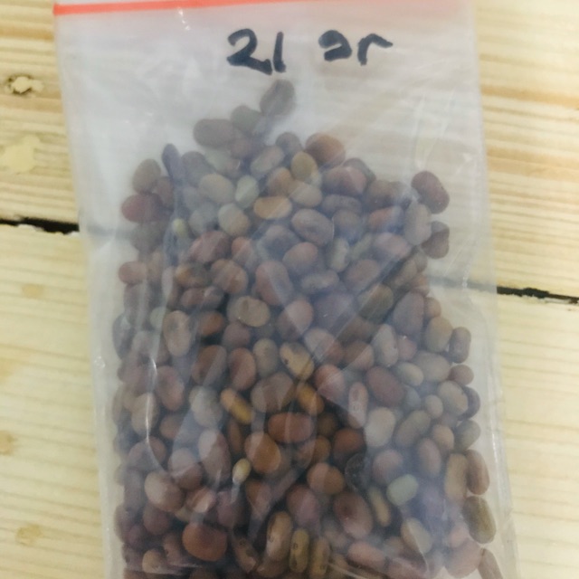 Jual Bibit Turi Merah (kemasan 20 gram) | Shopee Indonesia