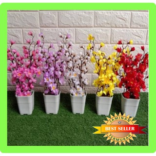 Jual PAS BUNGA HIAS SAKURA + POT / BUNGA PLASTIK HIASAN RUMAH | Shopee ...