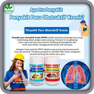 Jual Obat Herbal TBC, Batuk Bronchitis, Paru-Paru Basah,Asma, Flek Paru ...