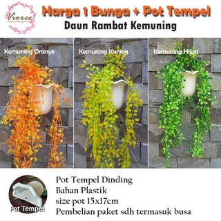 Jual Daun Rambat Plastik KEMUNING Pot Tempel Gantung Hiasan Dinding ...