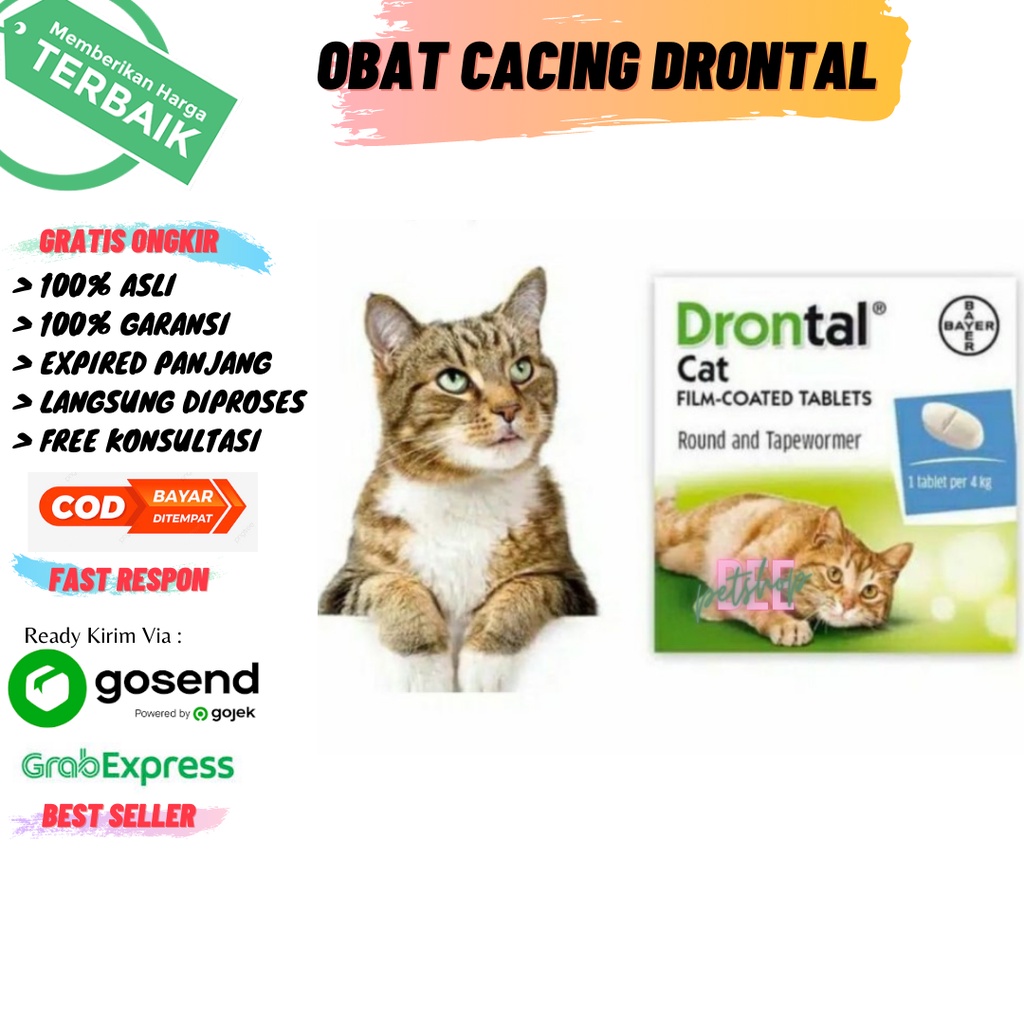 Jual Drontal Cat Obat Cacing Kucing Tablet | Shopee Indonesia