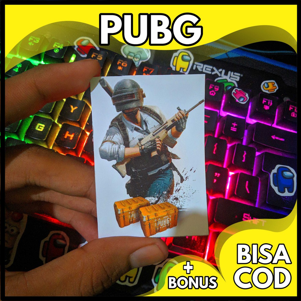 Jual STIKER LOGO FIGURE PUBG MOBILE Indonesia|Shopee Indonesia