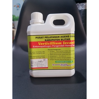Jual Agen Hayati Cendawan Entomopatogen Verticillium Lecanii Pengendali ...