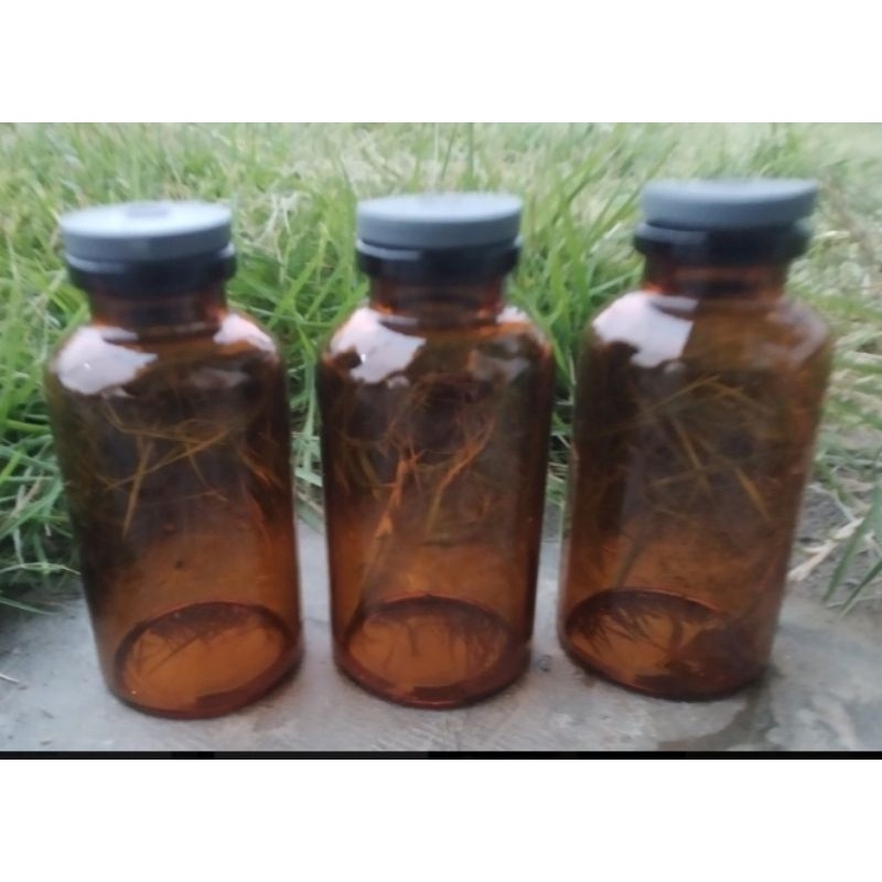 Jual Botol Vial/Botol Kaca Mini Vial 25ml | Shopee Indonesia