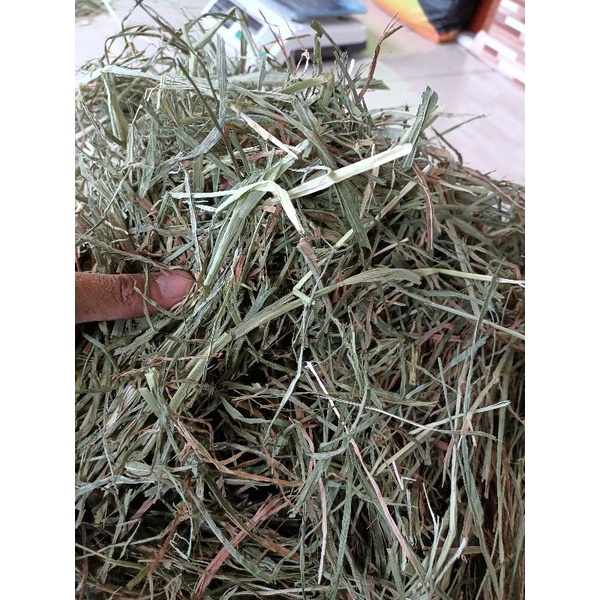 Jual Rumput Makanan Kelinci Hay Timothy Import 500gr - 1kg Indonesia ...