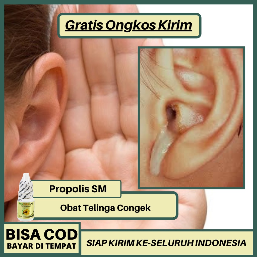 Jual Obat Tetes Telinga Congek, Conge, Cogean, Berair, Bernanah ...