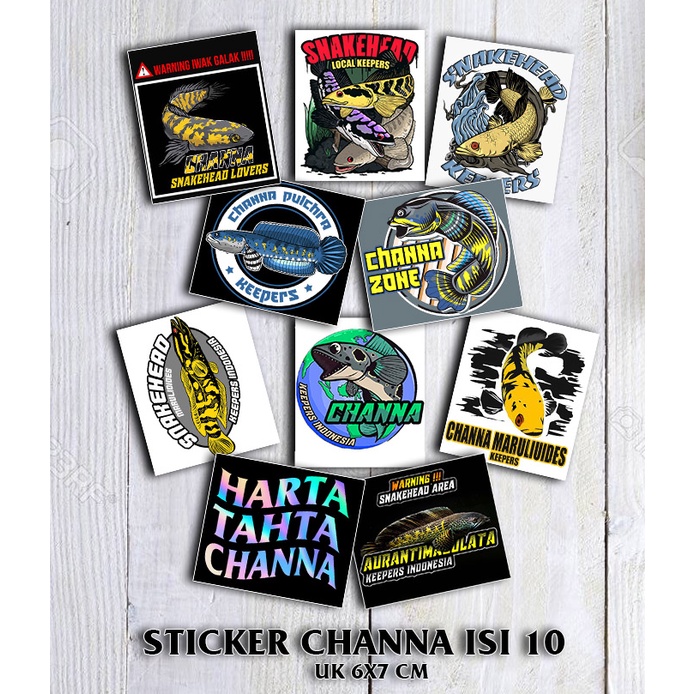 Jual stiker channa isi 10 pcs sticker ikan chana sticer akuarium ...