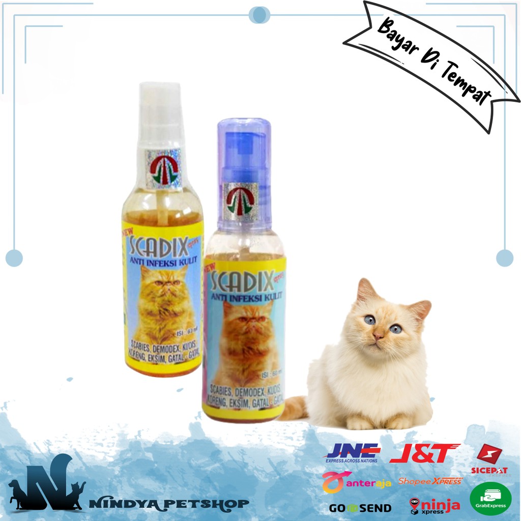 Jual SCADIX Spray 60ml Obat Koreng Jamur Gatal Gatal Scabies Kucing ...